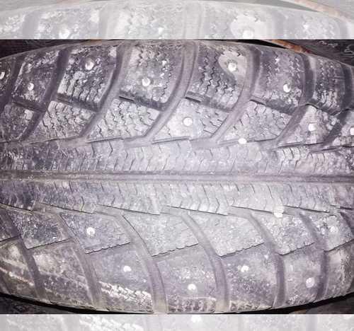 Gislaved Nord Frost 5 195/55 R15