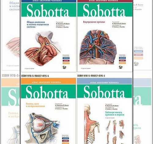 Атлас анатомии человека Sobottа, 1-3+таблицы