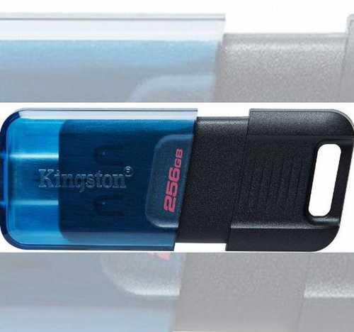 Флеш Диск Kingston 256Gb DataTraveler 80 M Type-C