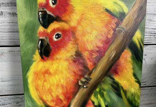 Картина попугаи неразлучники маслом