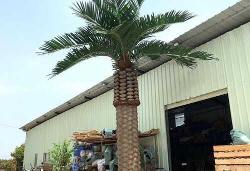Искусственная пальма 5,5 метров