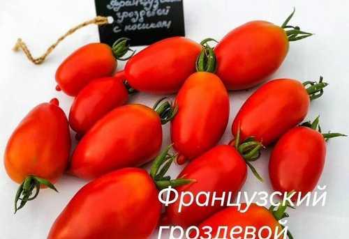 Семена редких коллекционых сортов томатов