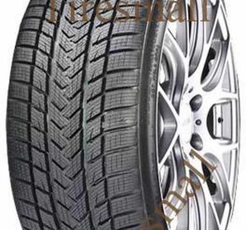 Gripmax Status Pro Winter 225/45 R19 96V