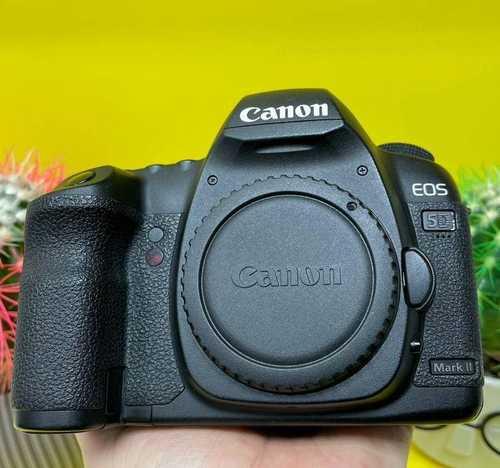 Canon EOS 5D Mark II