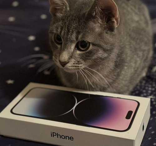 iPhone 14 Pro Max, 256 ГБ