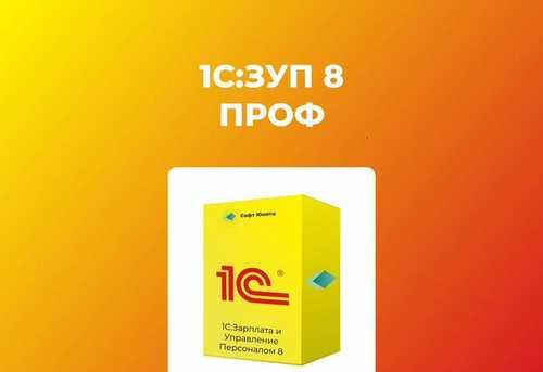 1С:Зарплата и Управление Персоналом 8 проф