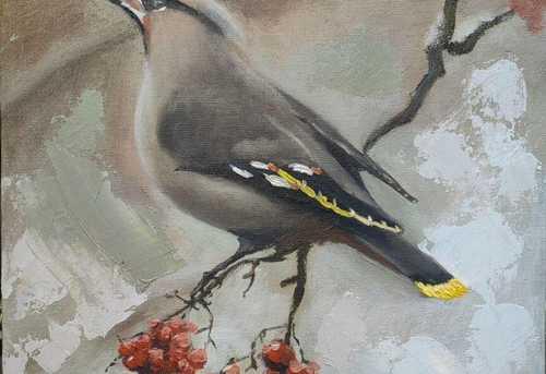 Картина маслом "Птица Свиристель"
