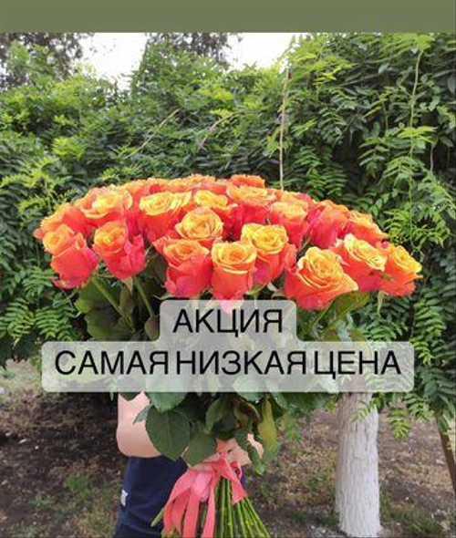 Цветы розы 80 см высокая роза 15 45 51 101 букеты