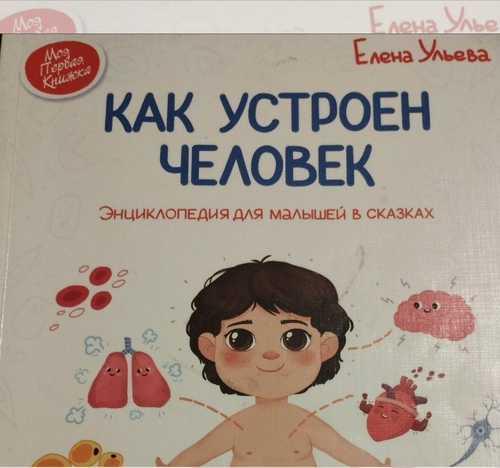 Елена Ульева Как устроен человек