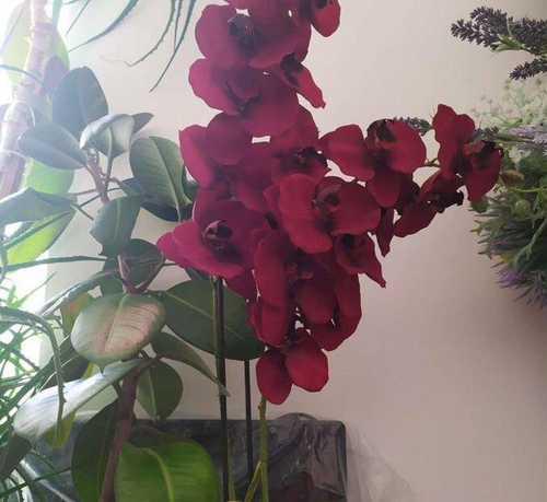 Орхидея искусственная " Пурпурное сердце "