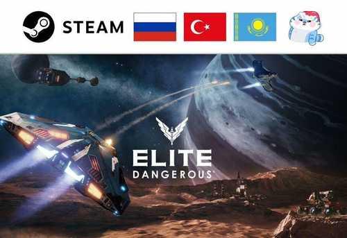 Elite Dangerous (Steam)