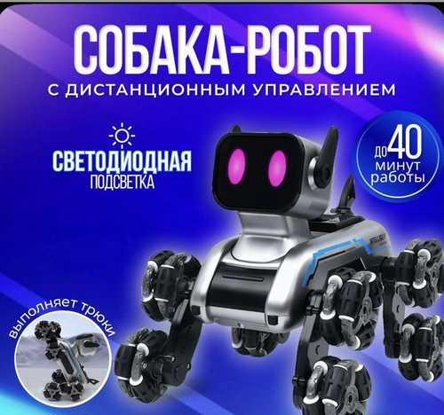 Собака робот