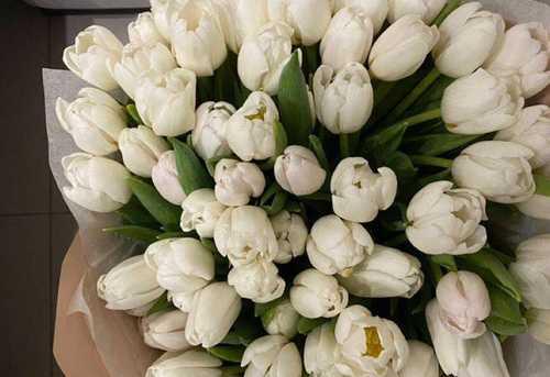 Большой букет из белоснежных тюльпанов