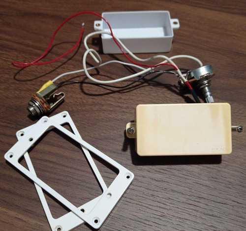 EMG 81