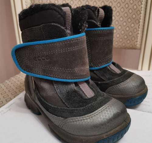 Ecco зима 22р