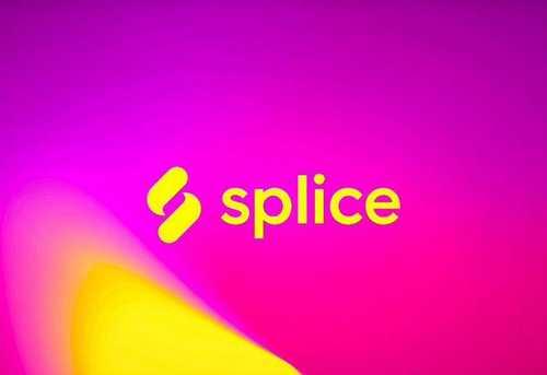 Splice Sound+ сэмплы звуки 3 месяца