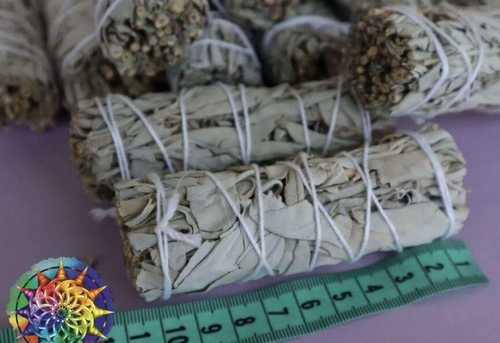 Калифорнийский белый шалфей