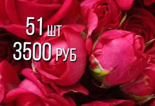 Купить цветы кустовая роза Тольятти Самарская обл