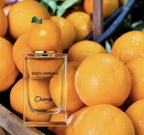 Dolce gabbana orange