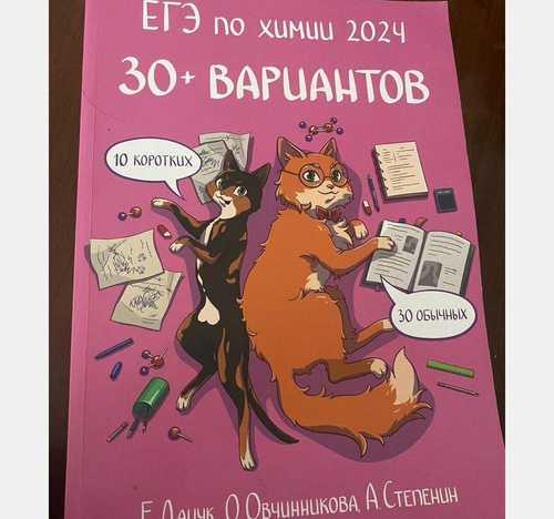 Книжка ЕГЭ по химии 2024