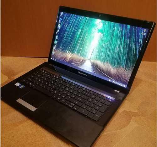 Гигант Packard Bell/17"/i5/8Гб/SSD-240/1 час акб