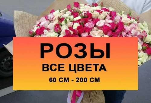 101 роза, букет цветов, розы