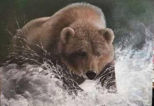 Картина, Медведь"