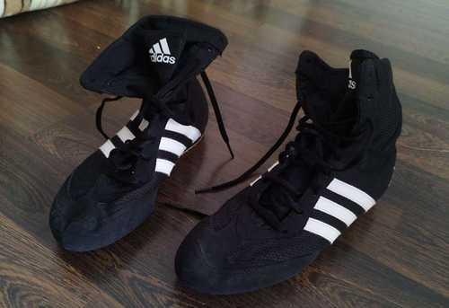 Боксерки adidas box hog 3