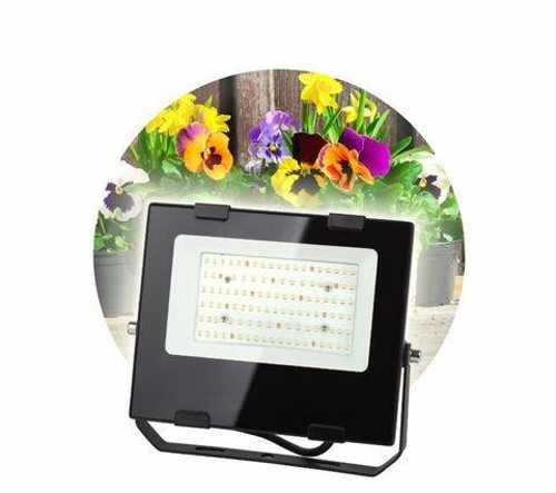 Фитопрожектор для растений светодиодный fito-50W