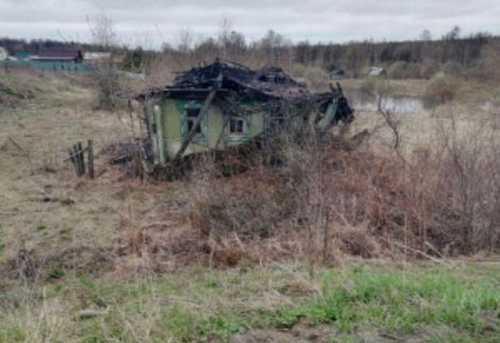 Дрова бесплатно