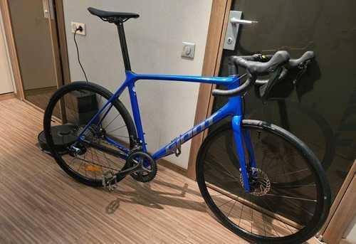 Giant tcr advanced 3 disc 2023