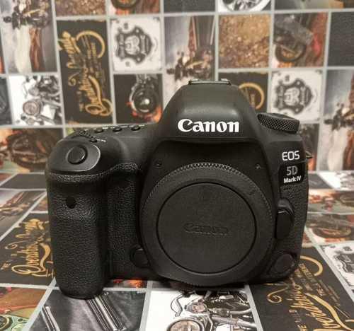 Canon EOS 5D mark iv body(1154) Москва | Фототехника | Festima.Ru (473149961)