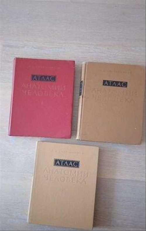 Синельников атлас анатомии человека