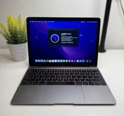 Apple macbook 12 2016 - 302 цикла