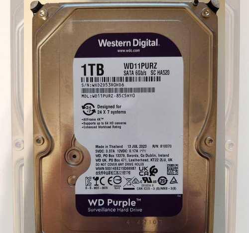 Hdd wd 1 tb purple