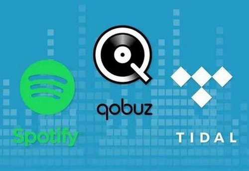 Tidal Hifi + Spotify Deezer Qobuz подписка