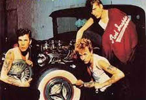 Stray Cats(1983) Rant n' Rave with the Stray Cats
