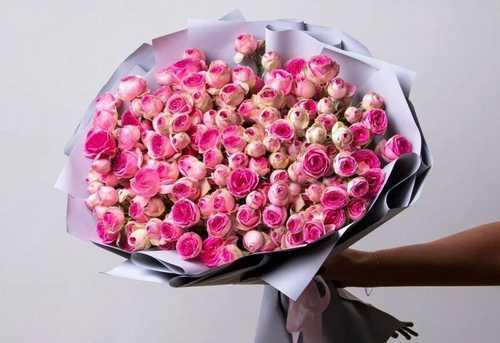 Роза Куст розовая Супер Сенсейшен 70 см