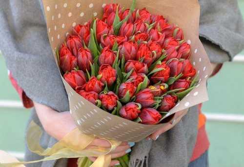 Тюльпаны красные Тюльпаны прекрасные