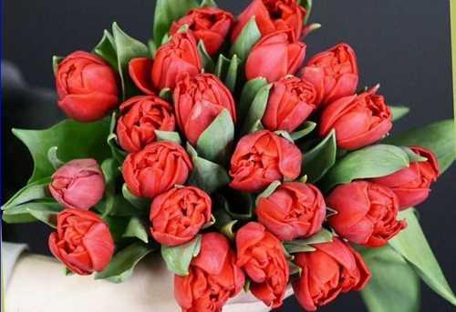 Свежие тюльпаны для прекрасных дам