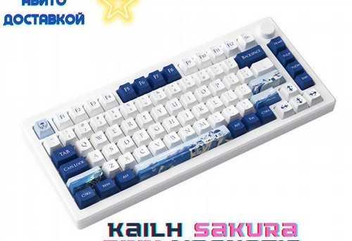 Механическая клавиатура Akko Mod 007B HE PC
