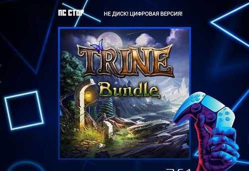 Trine Bundle PS5 и PS4