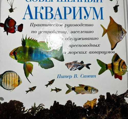 Книги новые