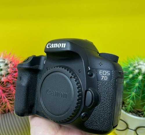 Canon 7D Body