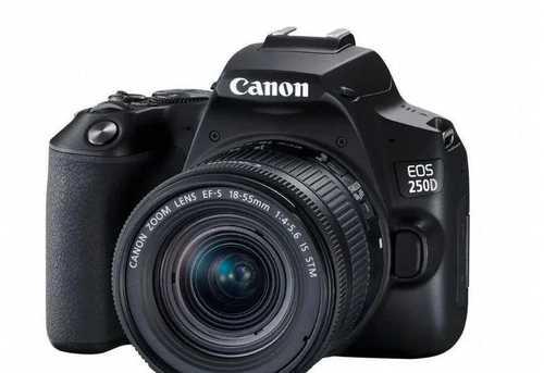 Зеркальный фотоаппарат Canon EOS 250D kit (EF-S 18