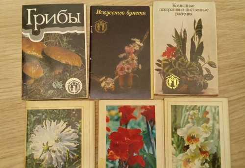 Комплекты открыток СССР с фото цветов и грибов