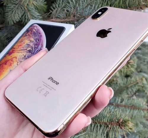 iPhone Xs Max, 512 ГБ