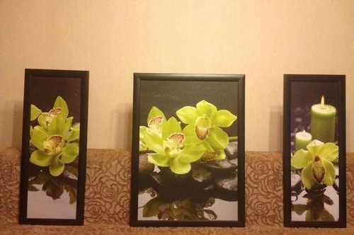 Новые картины с орхидеями
