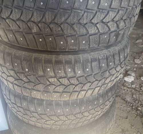 Tigar Sigura Stud 185/65 R15