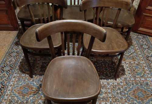 Комплект венских стульев 70х,после реставрации